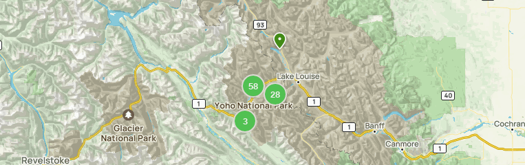 10 Best Trails and Hikes in Field | AllTrails