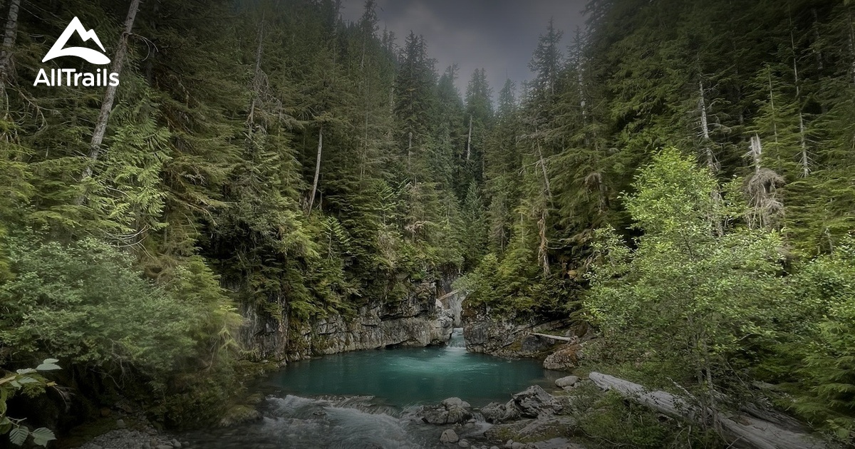 10 Best forest trails in Garibaldi | AllTrails