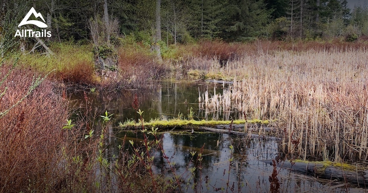 Best hikes and trails in Homalco 9 | AllTrails