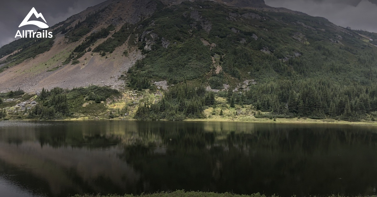 Best forest trails in Lake Kathlyn | AllTrails