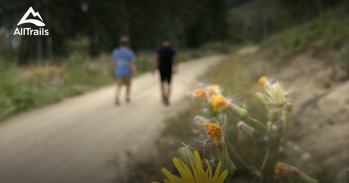 Best wildflower trails in Mara | AllTrails