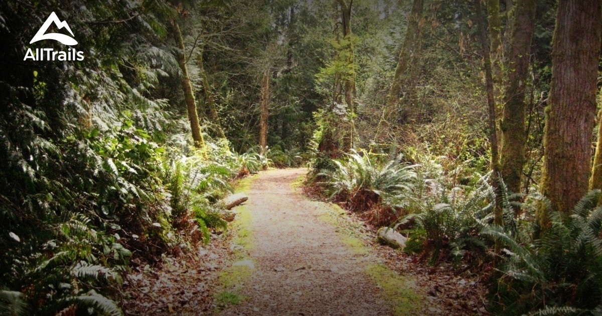 10 Best forest trails in Musqueam 2 | AllTrails