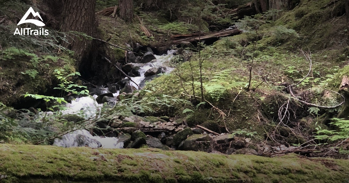 Best moderate trails in Nakusp | AllTrails