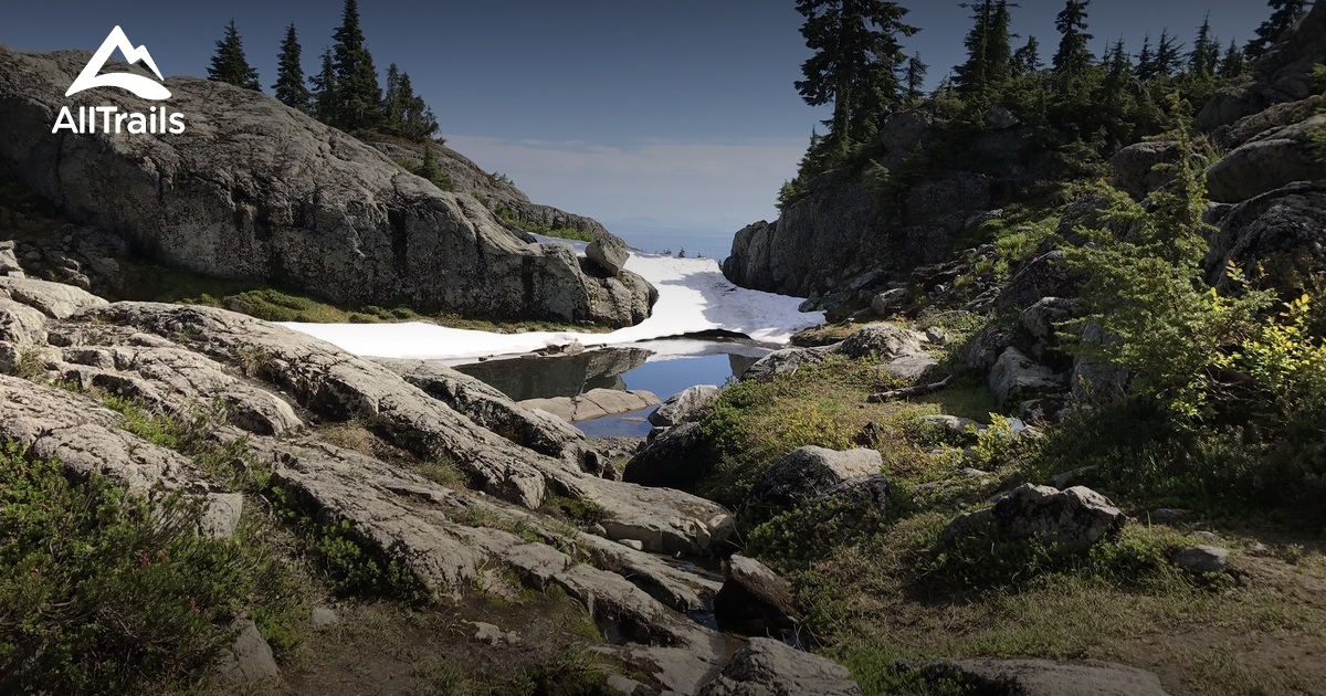 Best Trails near North Vancouver, British Columbia, Canada | AllTrails