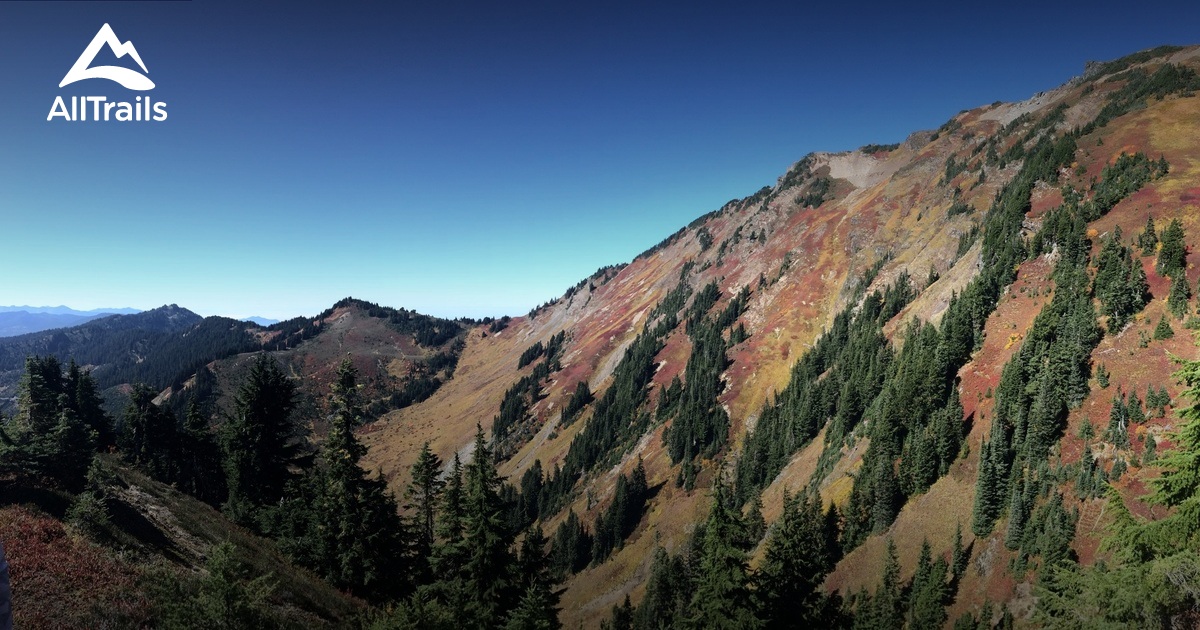 Best forest trails in Popkum | AllTrails
