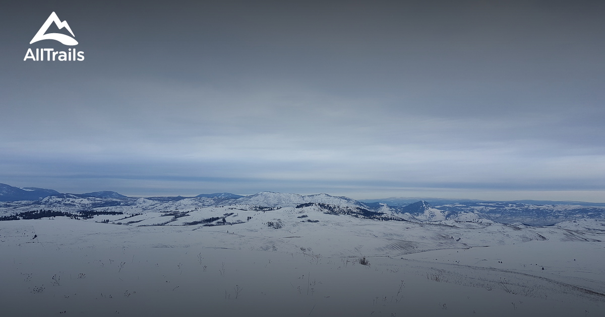 Best hikes and trails in Rayleigh | AllTrails