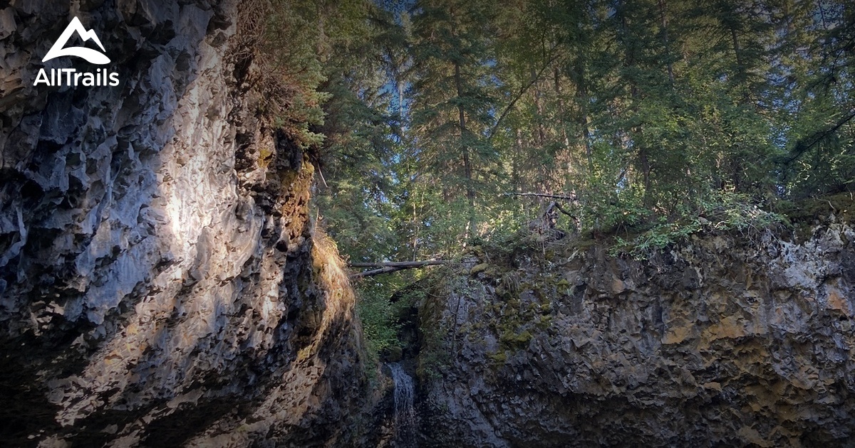 Best Trails, Walks, and Paths in Red Bluff | AllTrails