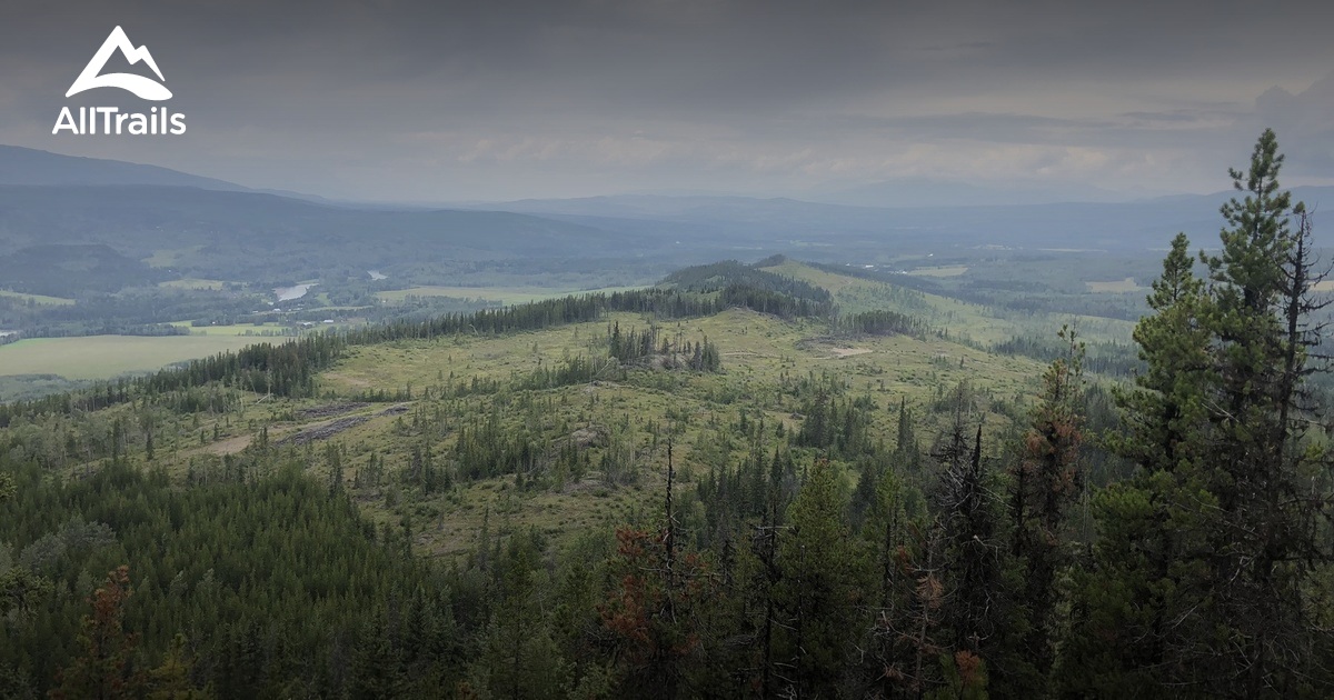 Best trails in Regional District of Bulkley-Nechako, British Columbia ...