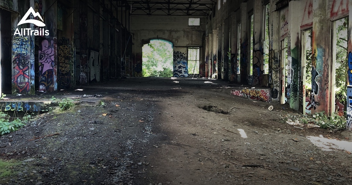 Best forest trails in River Jordan | AllTrails