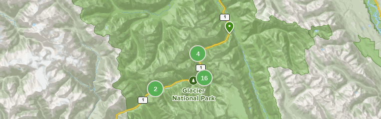 Best Hikes and Trails in Rogers Pass | AllTrails