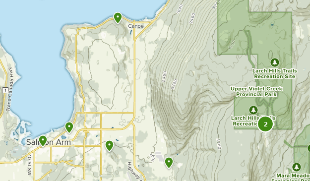 Best Trails near Salmon Arm, British Columbia Canada | AllTrails