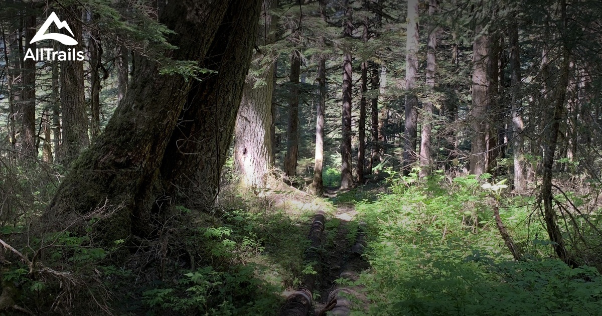 Best hikes and trails in Stewart | AllTrails