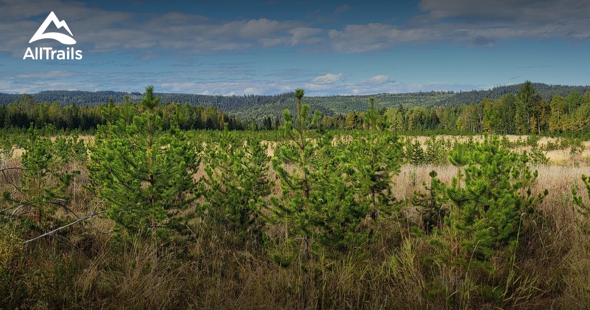 Best hikes and trails in Ten Mile Lake | AllTrails