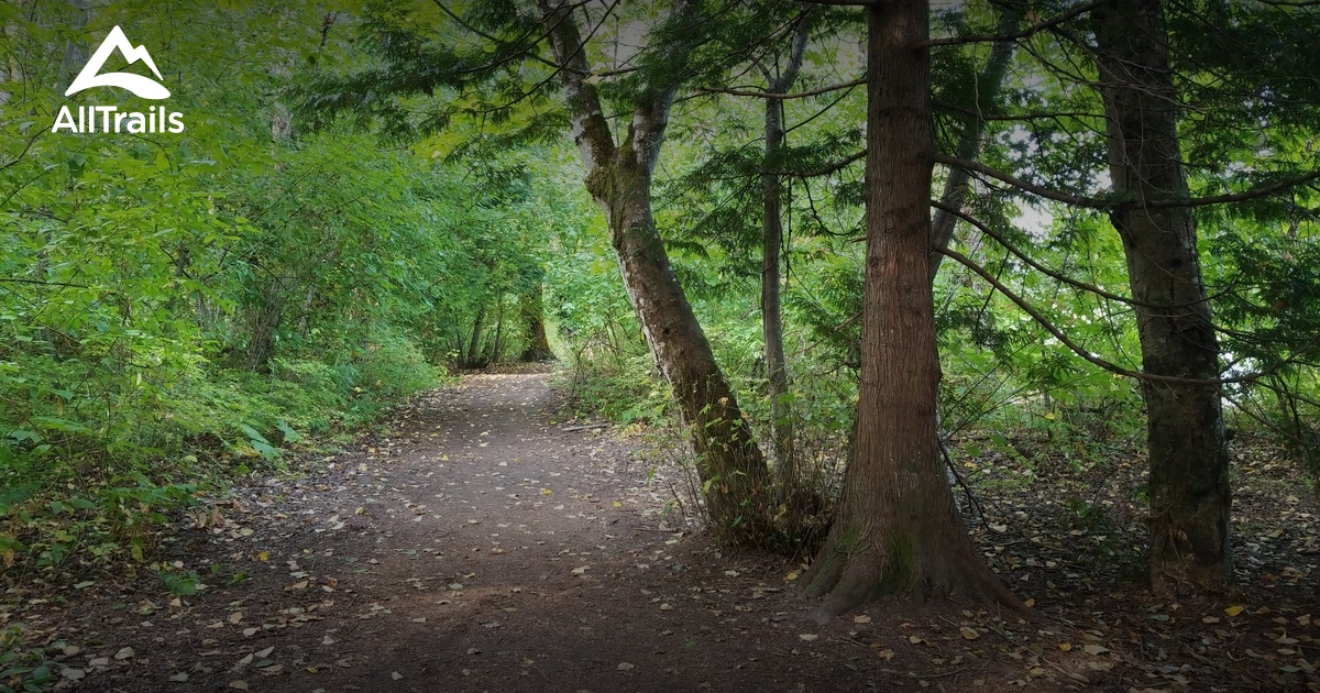 Best Trails near Terrace, British Columbia Canada | AllTrails