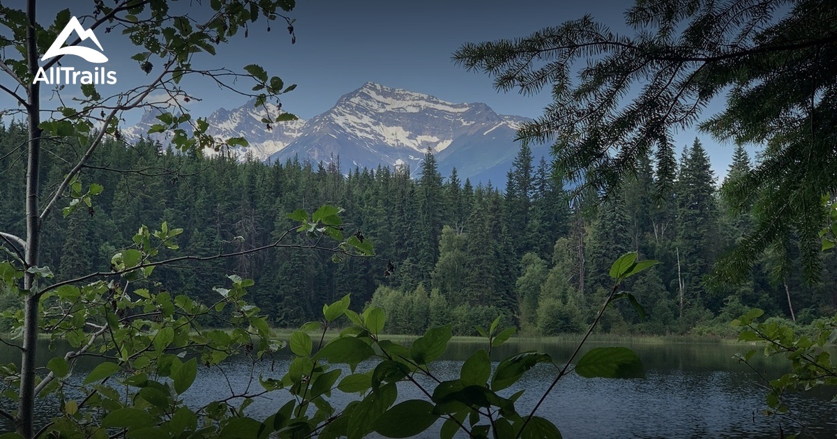 Best hikes and trails in Tête Jaune Cache | AllTrails