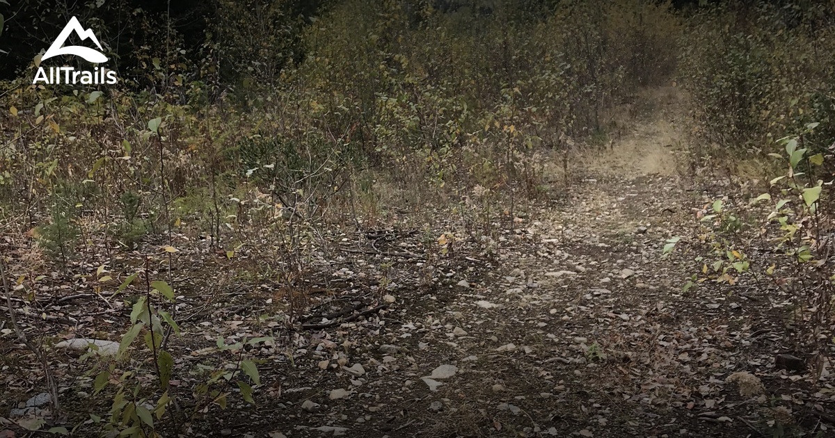 Best hikes and trails in Warfield | AllTrails