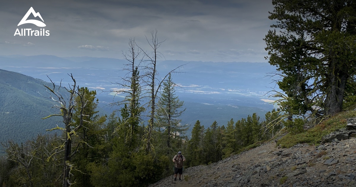 Best hikes and trails in Wasa Lake | AllTrails