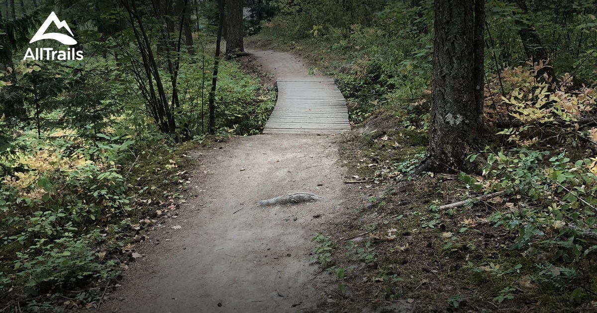 Best hikes and trails in White Lake | AllTrails