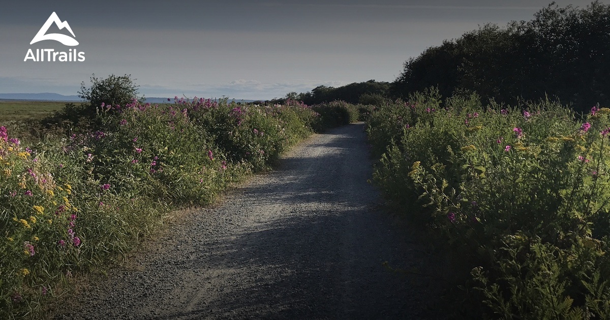 Best moderate trails in White Rock | AllTrails