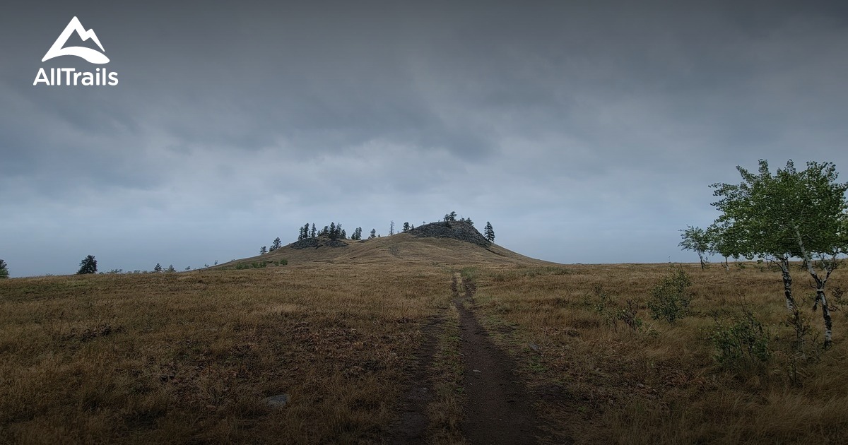 Best river trails in Wycliffe | AllTrails