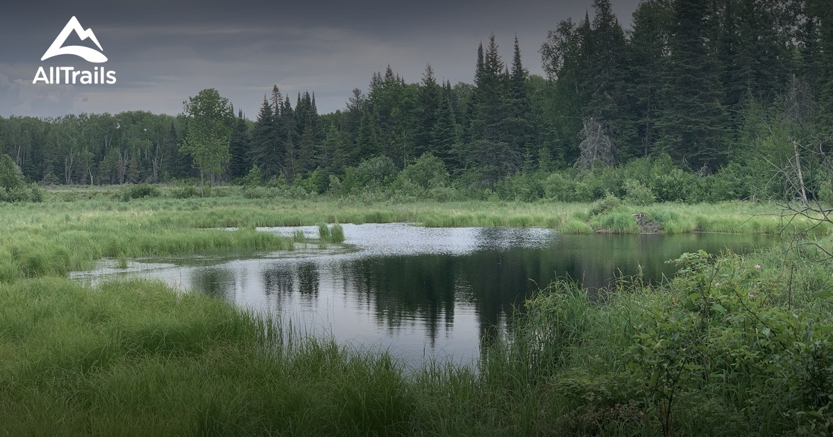 Best hikes and trails in Caddy Lake | AllTrails
