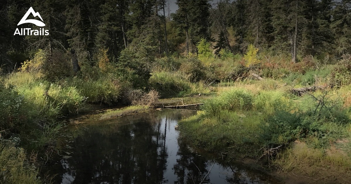 Best hikes and trails in Carberry | AllTrails