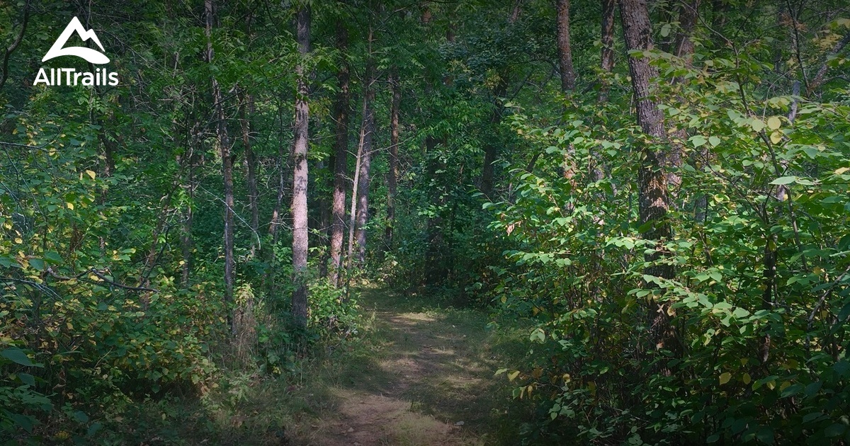10 Best trails and hikes in Gimli | AllTrails
