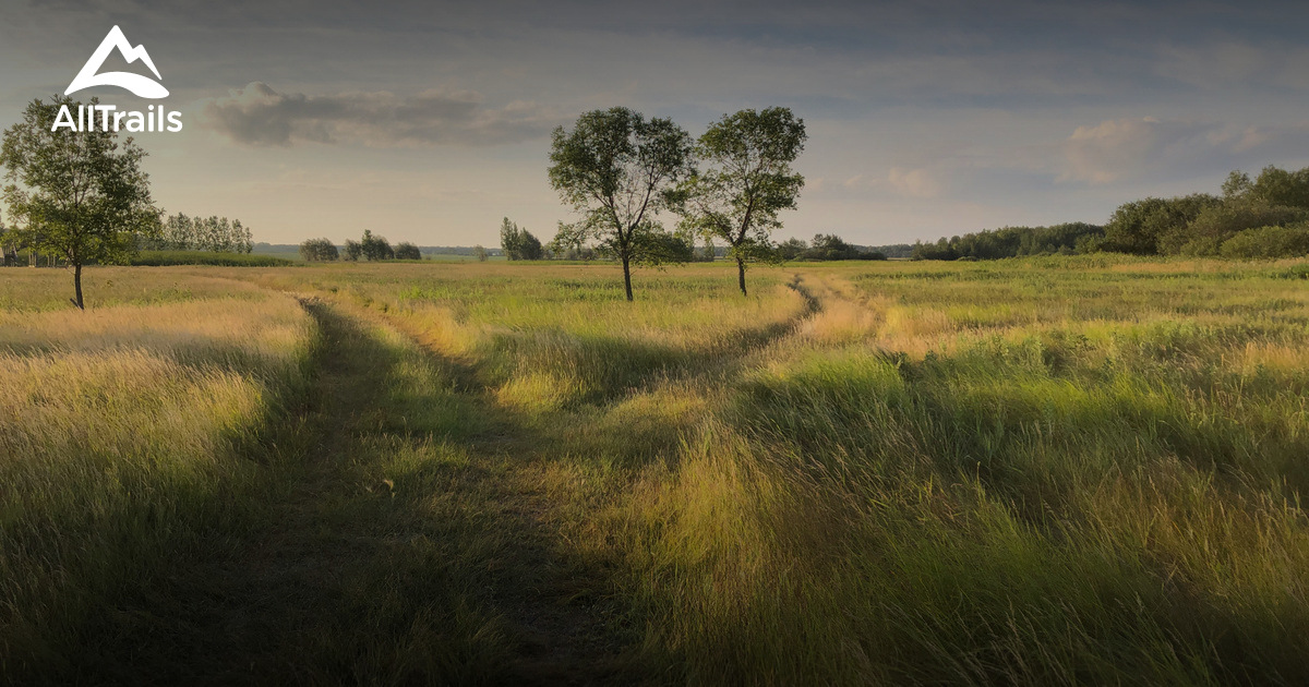 Best hikes and trails in Hanover | AllTrails