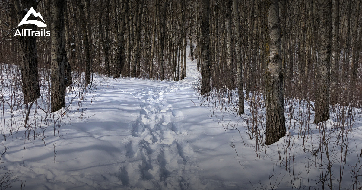 Best hikes and trails in Minnedosa | AllTrails