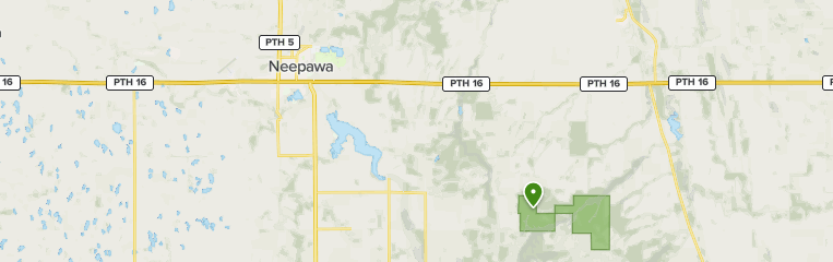 Best Trails, Walks, and Paths in Neepawa | AllTrails