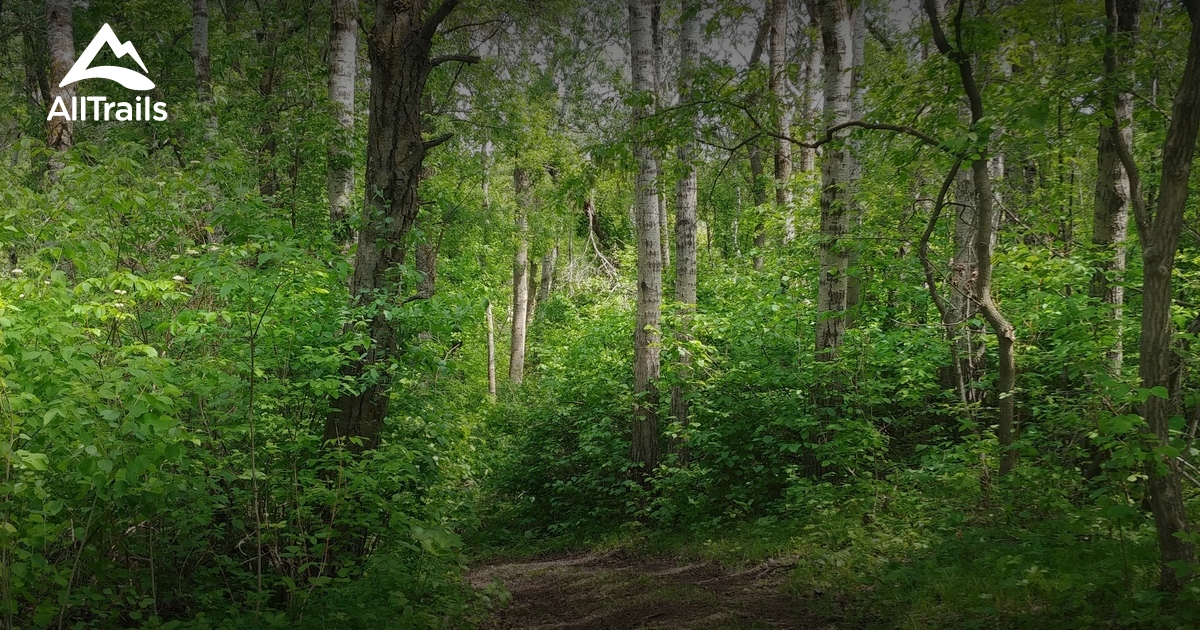 Best hikes and trails in of Norfolk Treherne | AllTrails