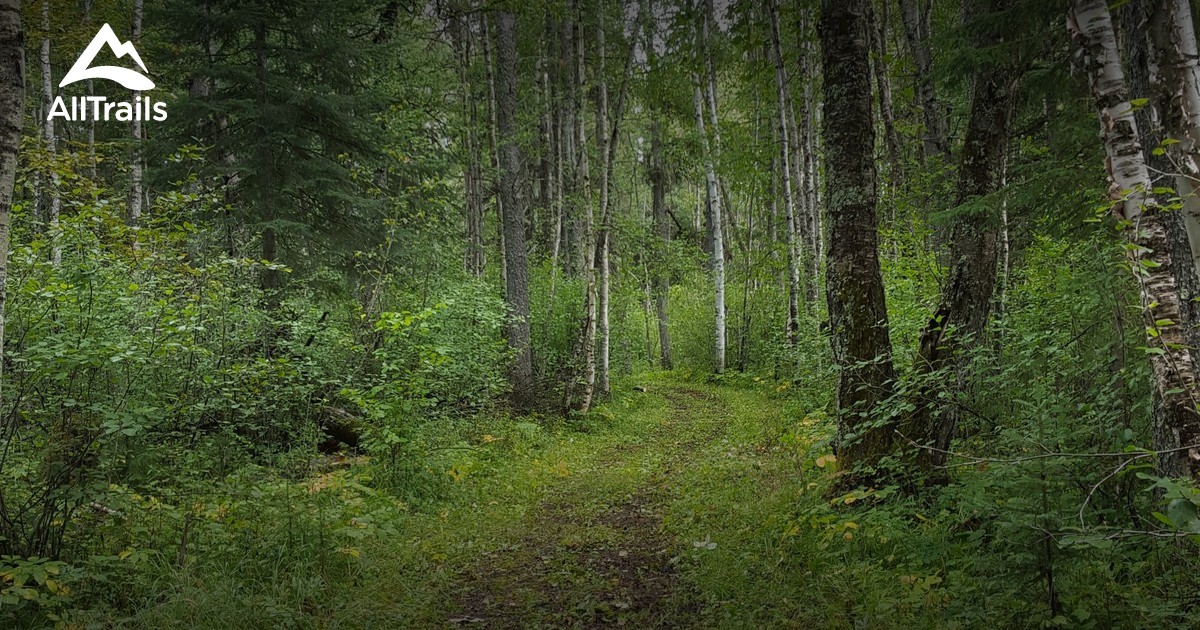 Best Trails near Pine River, Manitoba Canada | AllTrails