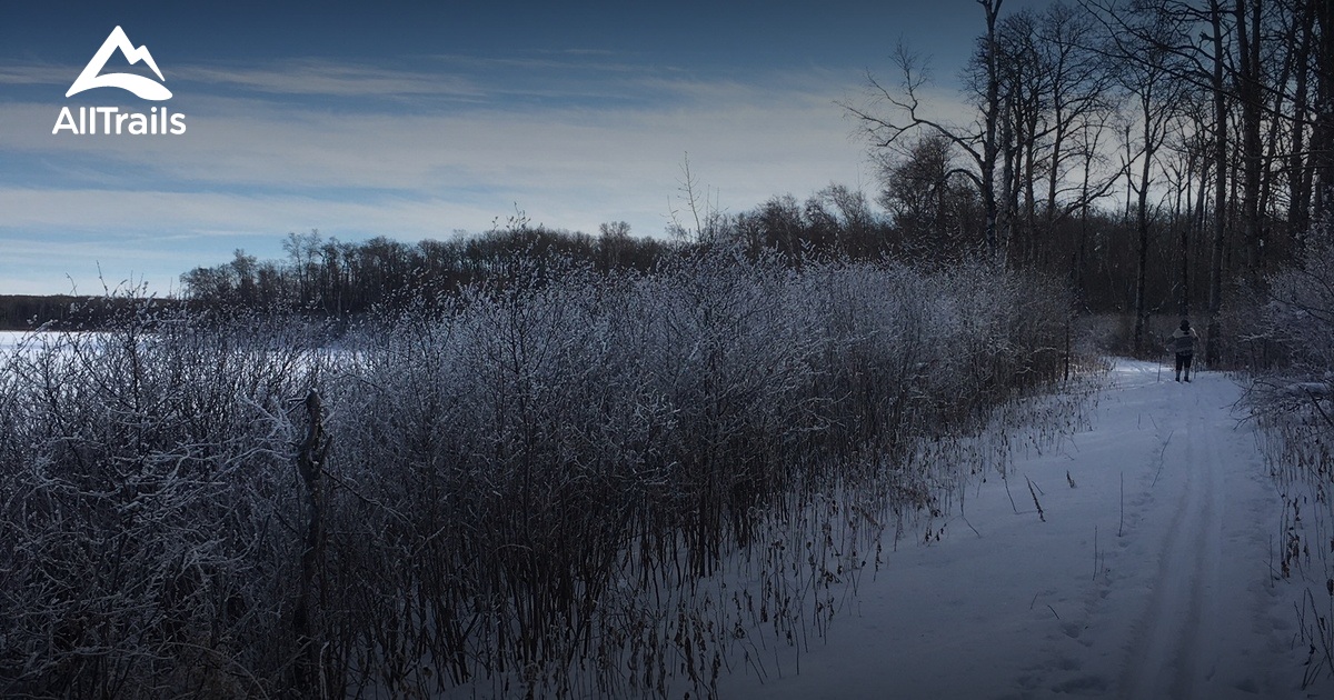 Best wildflower trails in Riding Mountain West | AllTrails