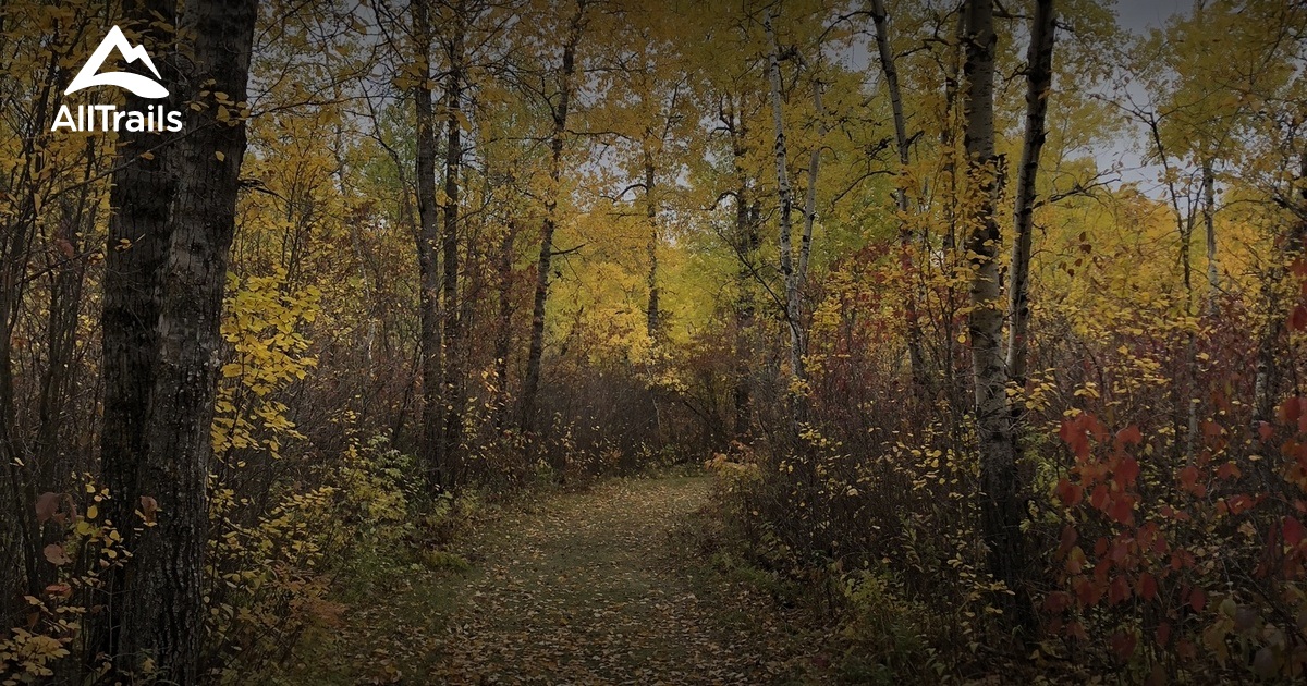 Best hikes and trails in Swan River | AllTrails