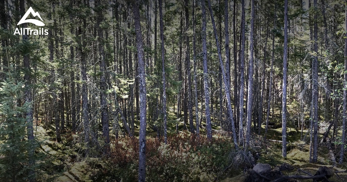 Best hikes and trails in White Lake | AllTrails