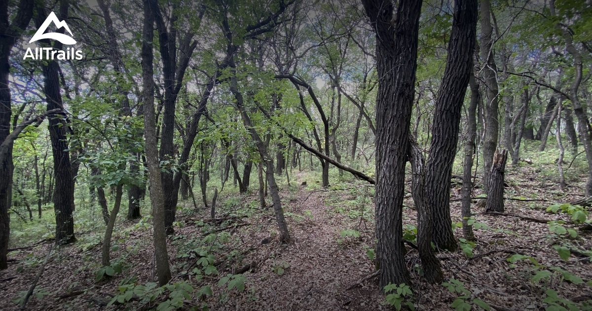 Best hikes and trails in Whitehead | AllTrails