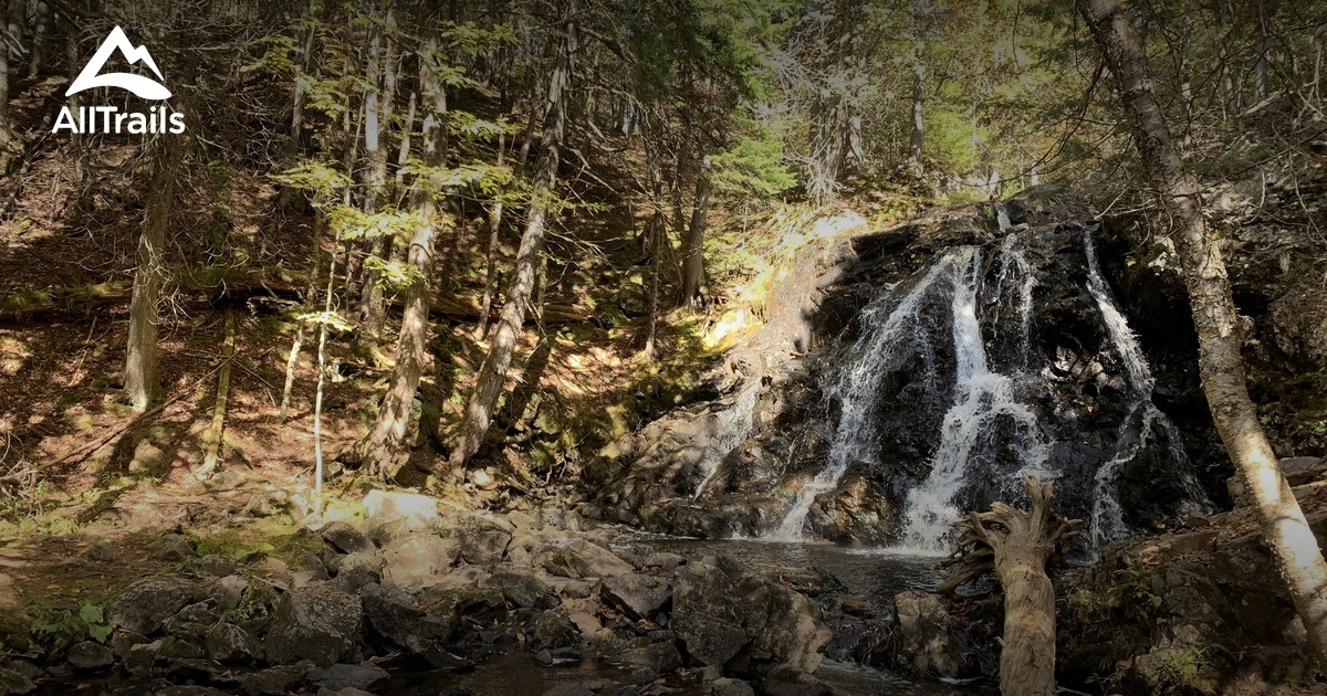 Best hikes and trails in Bocabec | AllTrails