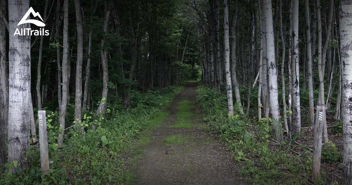 Best wildflower trails in Charlo | AllTrails