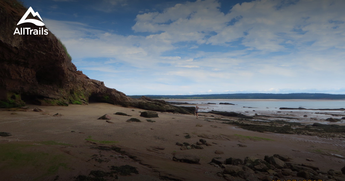 Best hikes and trails in Dennis Beach | AllTrails