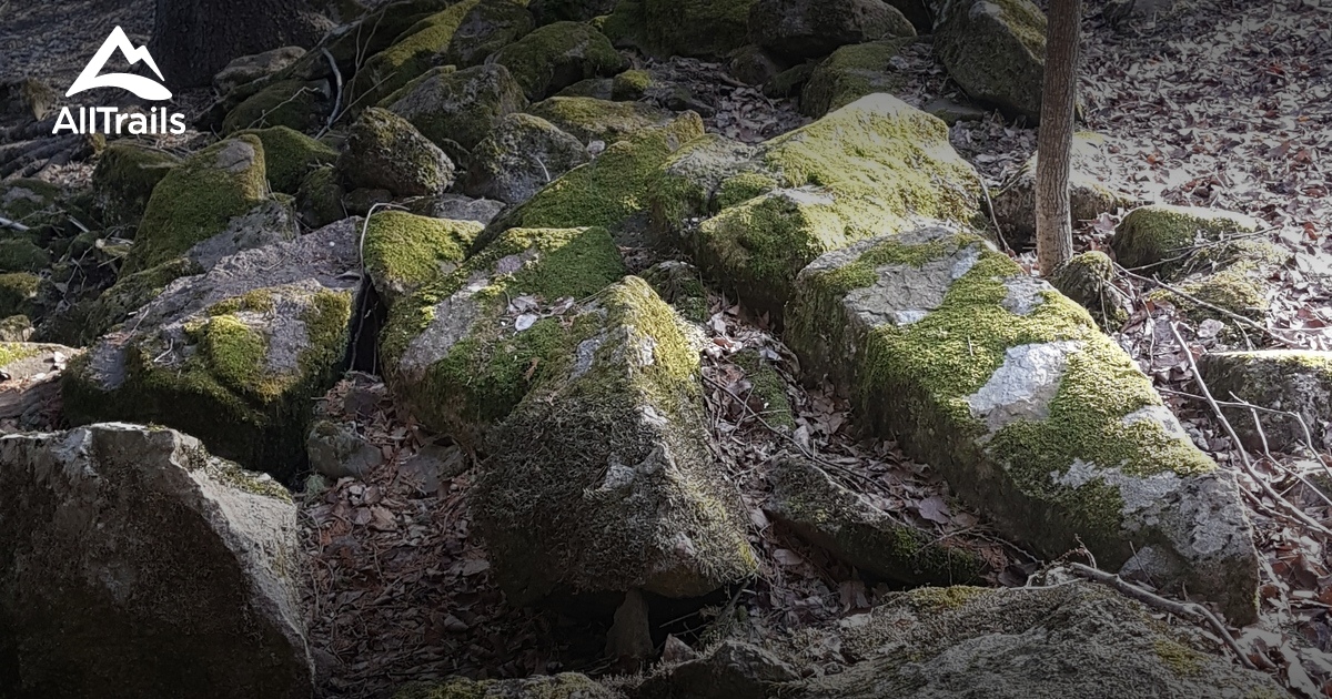 Best hikes and trails in Hampton | AllTrails