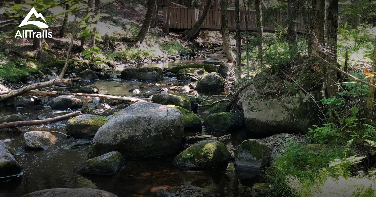Best hikes and trails in Jewetts Mills | AllTrails