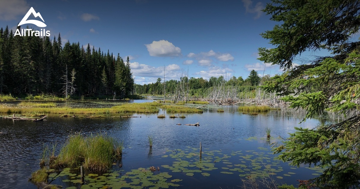 Best walking trails in Mactaquac | AllTrails