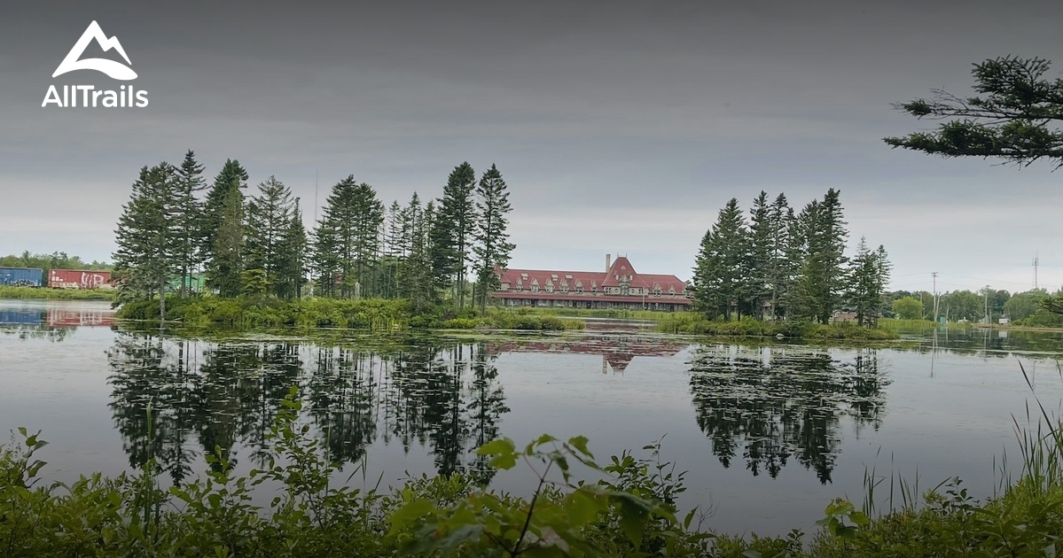 2023 Best Wild Flowers Trails in McAdam | AllTrails