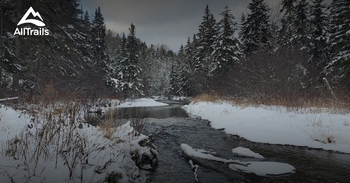 Best walking trails in Memramcook | AllTrails