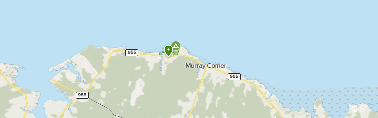 Best Hikes and Trails in Murray Corner | AllTrails