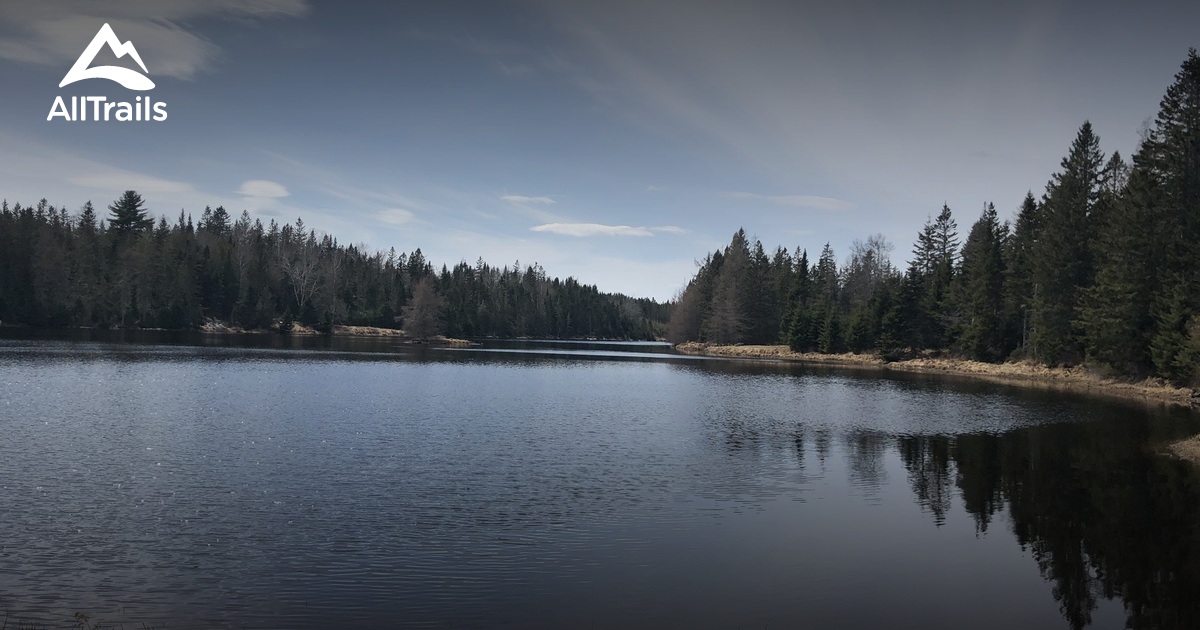 Best hikes and trails in Shannon | AllTrails