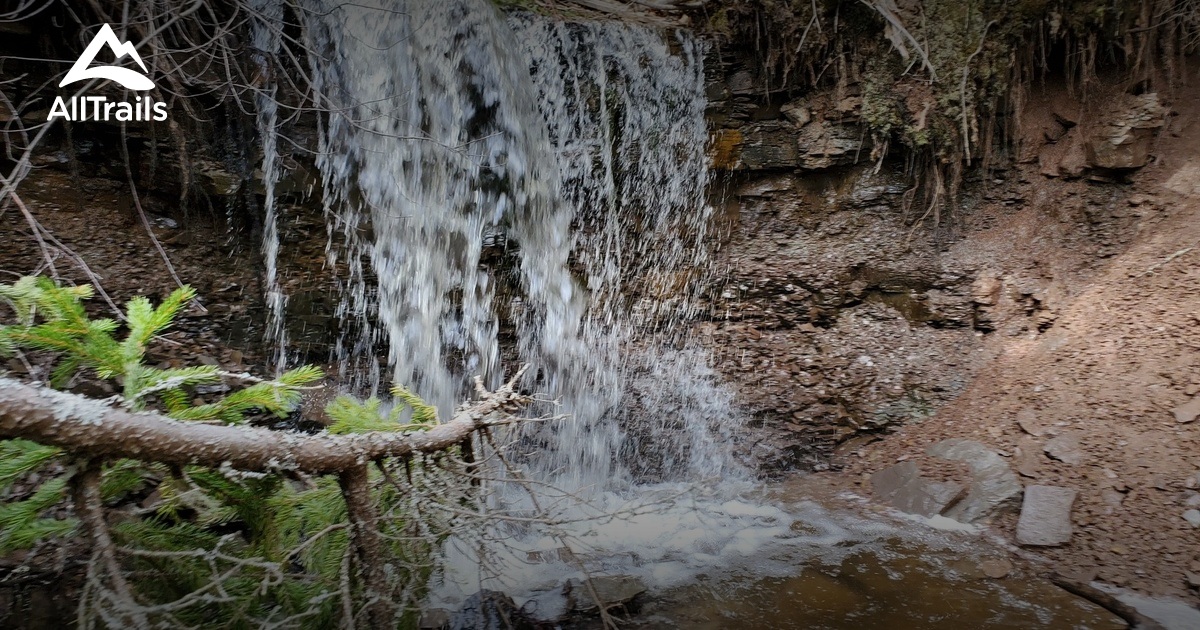 Best hikes and trails in Shediac | AllTrails