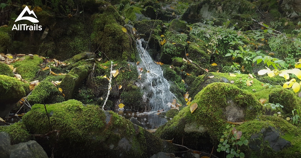 Best hikes and trails in Shepody | AllTrails