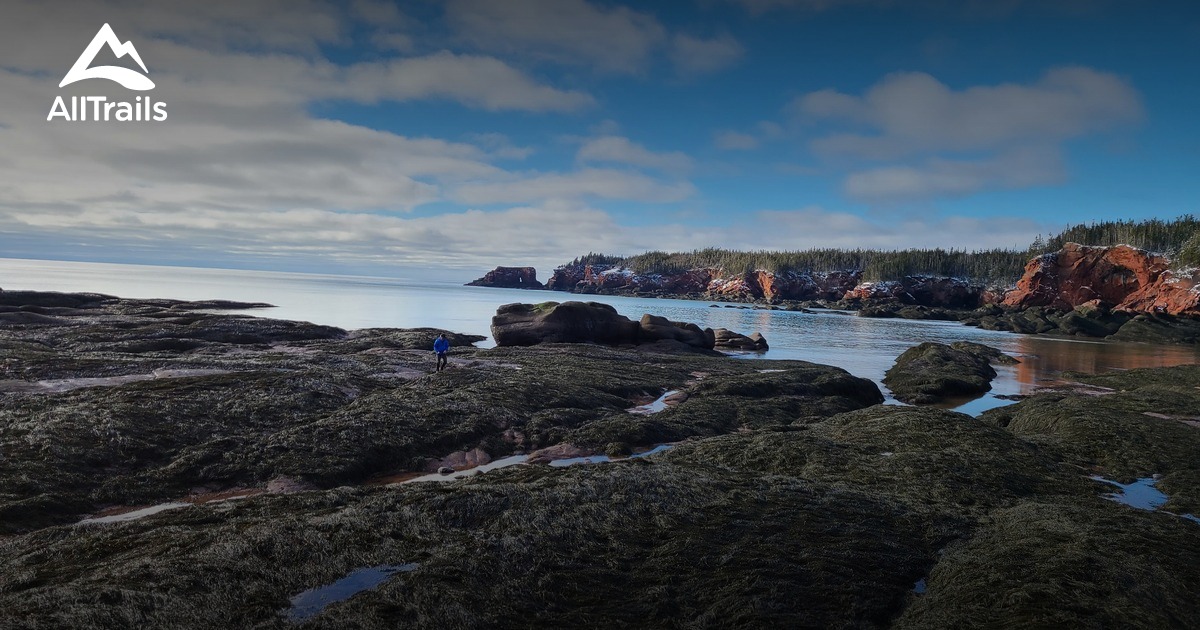 Best beach trails in Tynemouth Creek | AllTrails