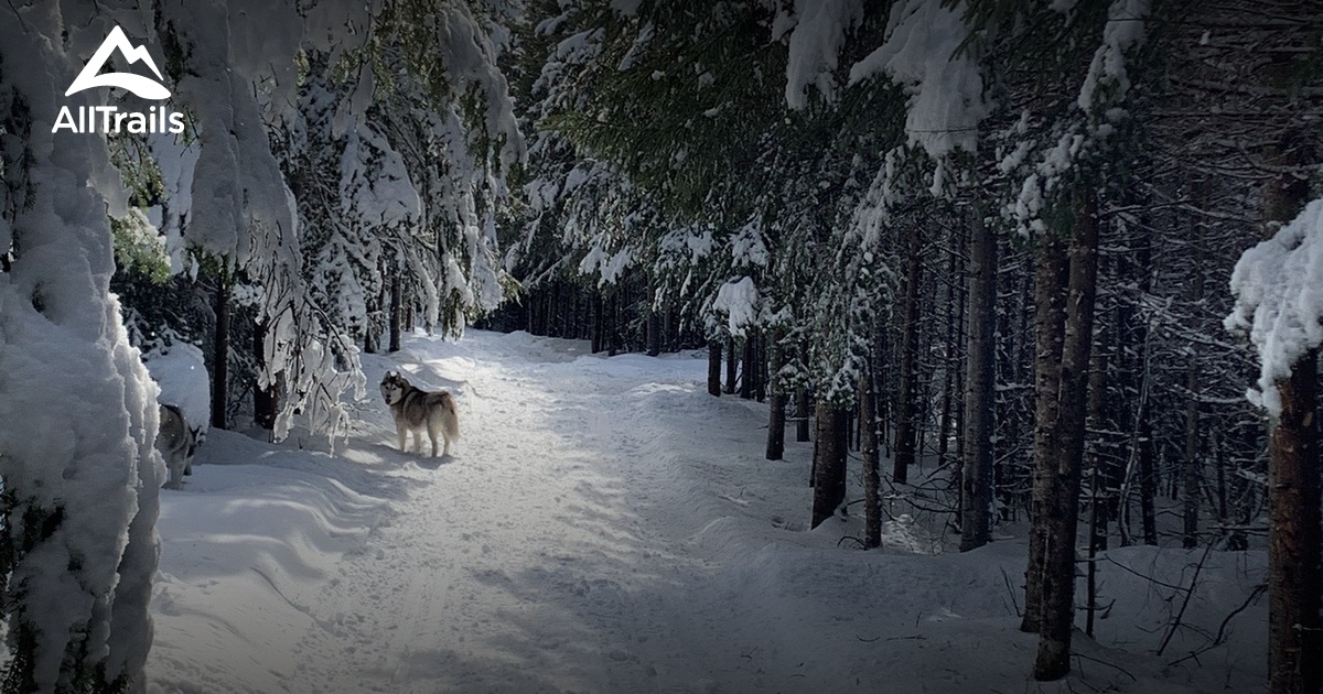 Best hikes and trails in Appleton | AllTrails